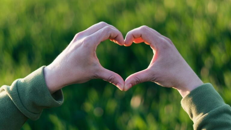 O que é: Zettai Suki - Blog Akihana